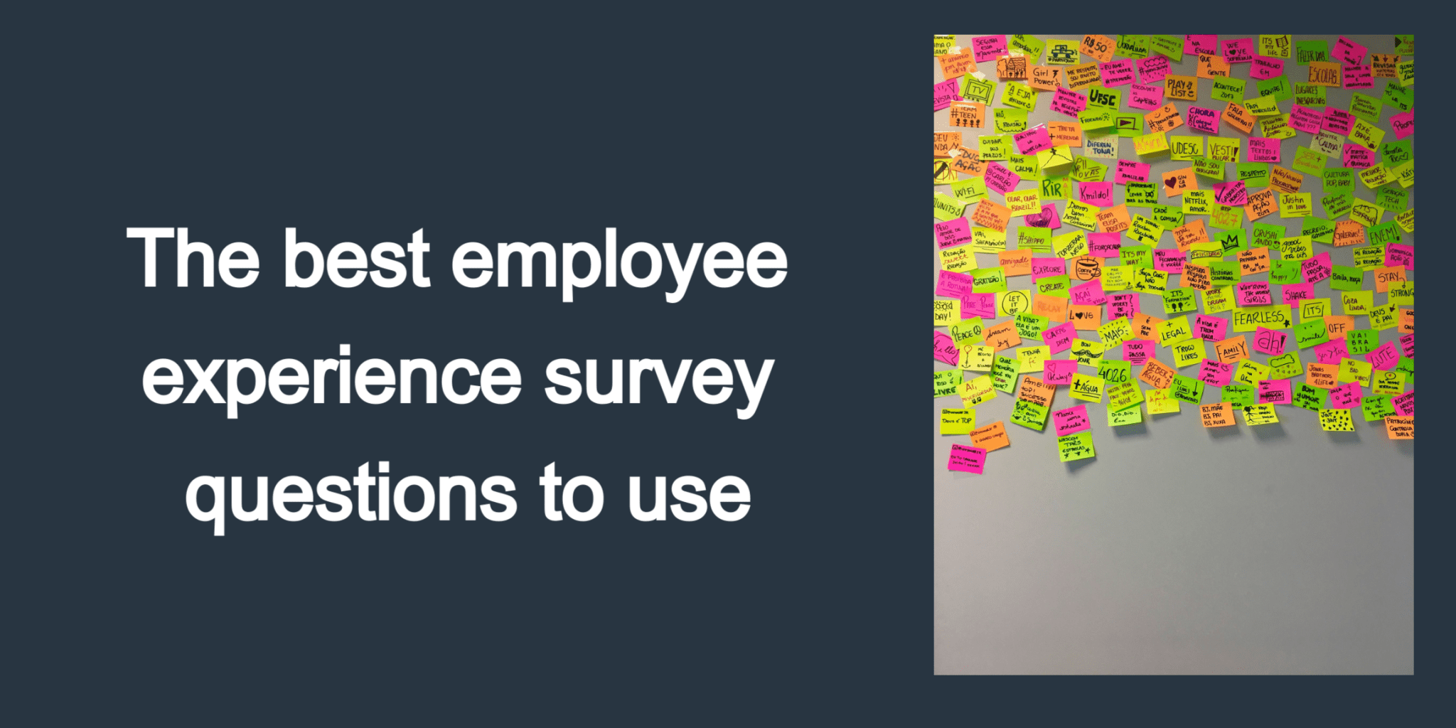 The best employee experience survey questions to use